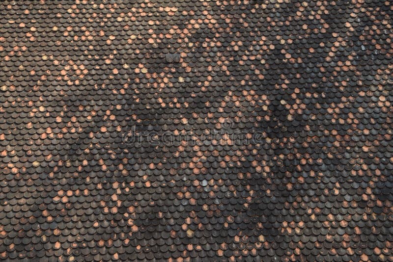 Photo of the Roof of a Large House and the Landscape Top View, Texture ...