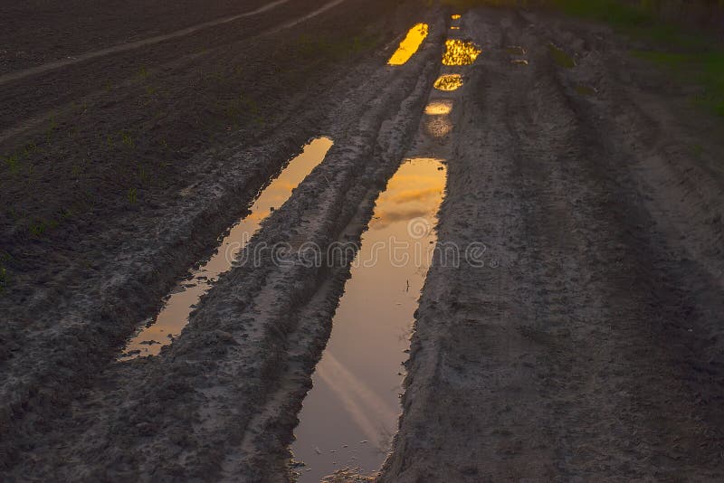 Photo of Rural Road with Puddles. Stock Photo - Image of road, light ...