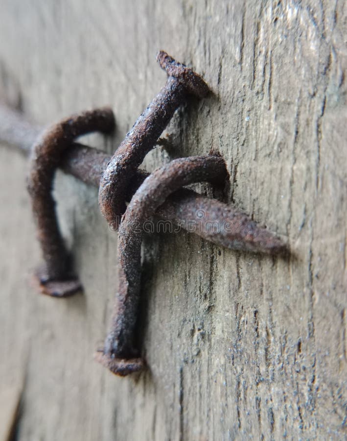 Photo of a rusty nail stock photo. Image of nail, wood - 252716098