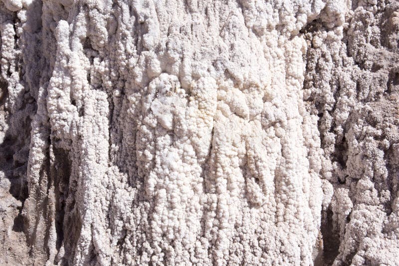 Photo of a Salt Rock Texture Stock Image - Image of white, geology ...