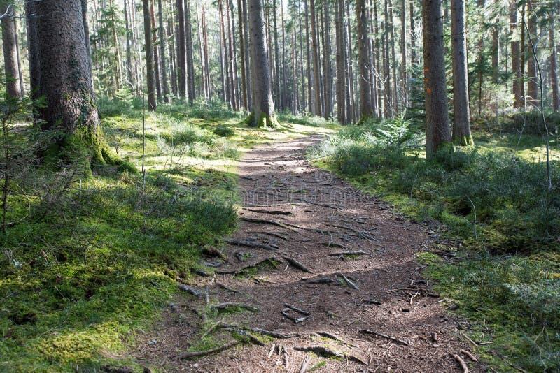 Sectret Path Stock Photos - Free & Royalty-Free Stock Photos from ...