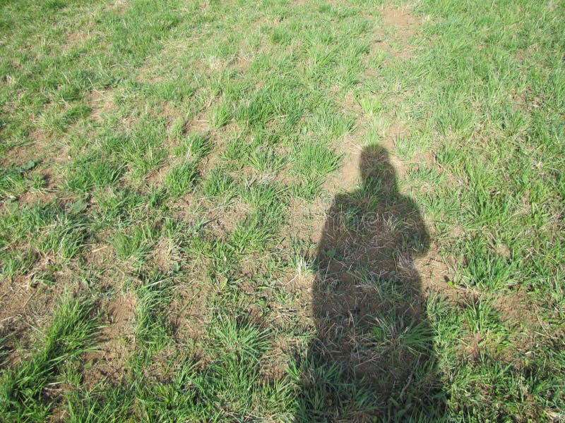 Photo of Shadow of Girl on Grassy Meadow Stock Photo - Image of girl ...