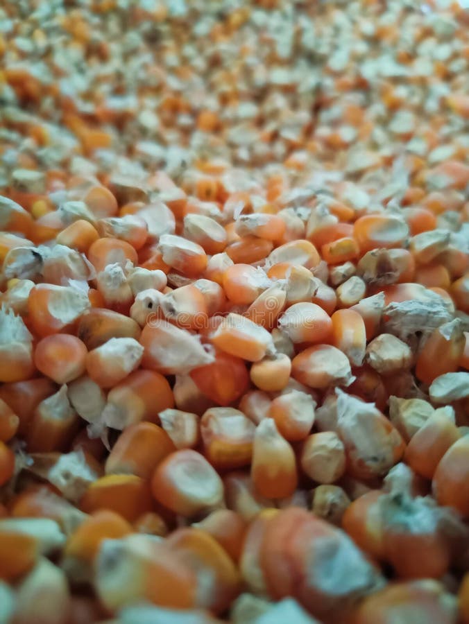 182 Popcorn Photo Shoot Stock Photos - Free & Royalty-Free Stock Photos ...