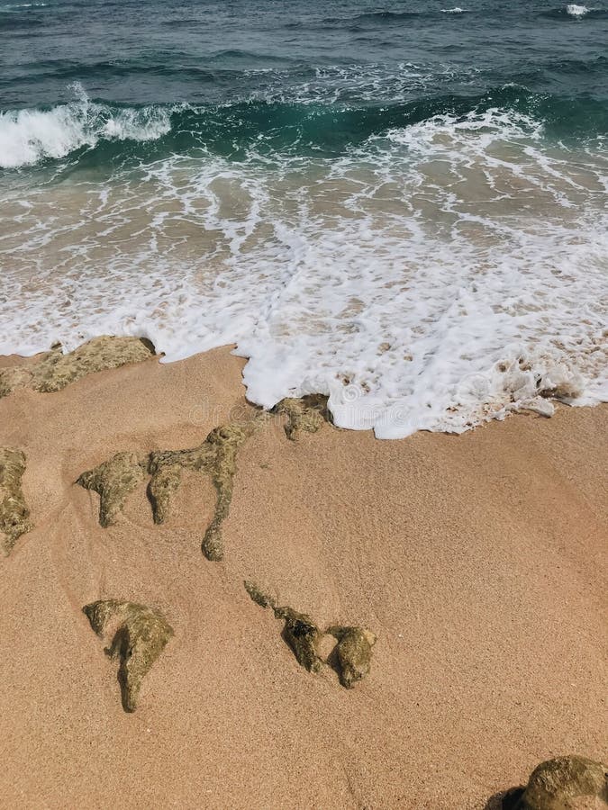 Beautiful Beach Sand Washed by the Waves Stock Photo - Image of wall ...