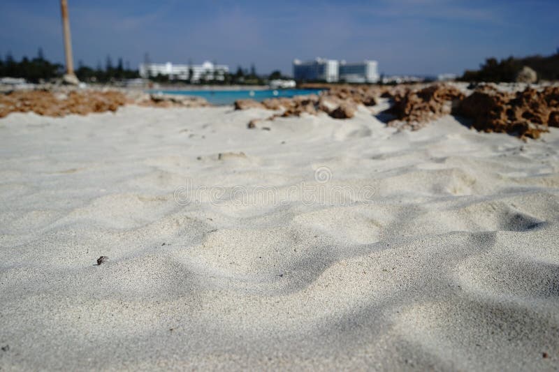 Wind Drawings on Sand stock image. Image of shore, soil - 348672809