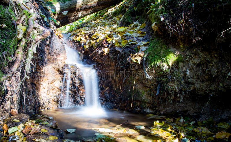 A Small Waterfall that is in the Forest Stock Photo - Image of water ...