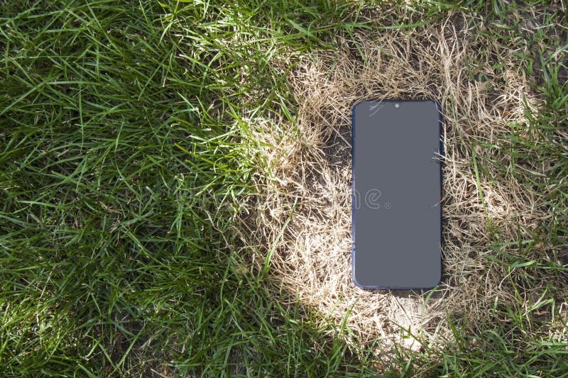 Mobile Phone Whose Radiation Harms the Environment. the Grass Has Dried ...