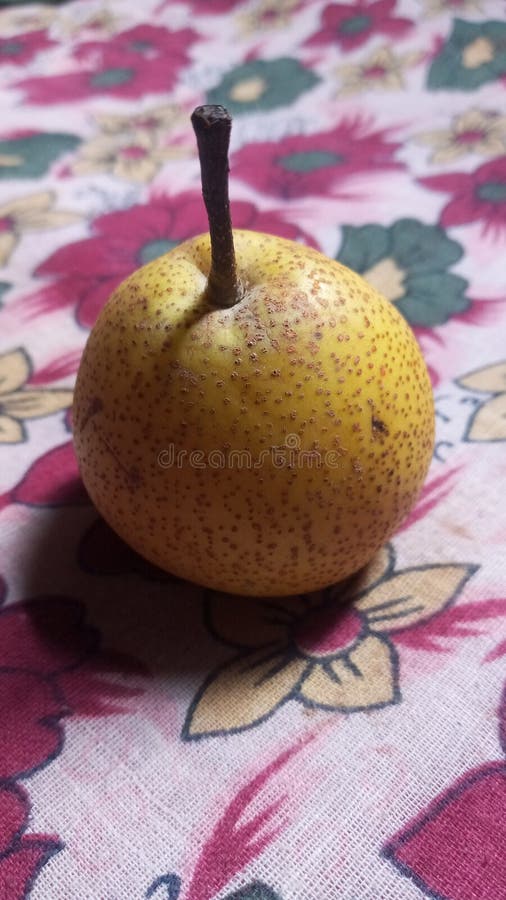 Photo of a Single Fruit on the Table Stock Photo - Image of table ...