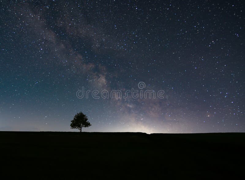 Single Tree Under Starry Sky at Night, Single Tree at Night Stock Image ...