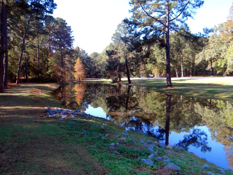 Photo of a Small Pond in a Park Stock Image - Image of reflecting ...