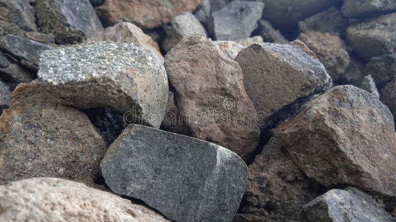 This Photo is about Small Rocks Stock Photo - Image of wildlife, rock ...