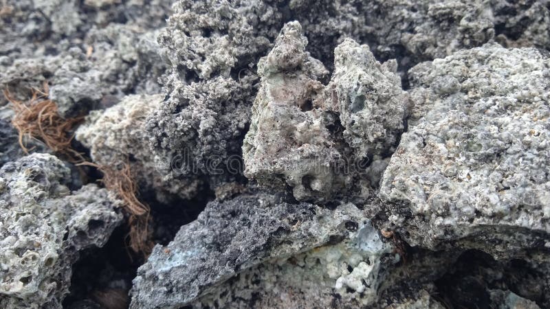 This Photo is about Soil Texture of Lava Stock Image - Image of terrain ...