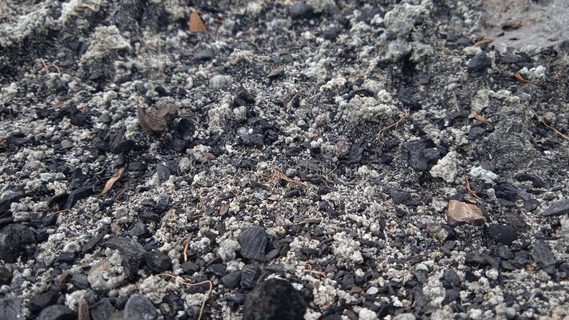 This Photo is about Soil Texture of Lava Stock Image - Image of ...