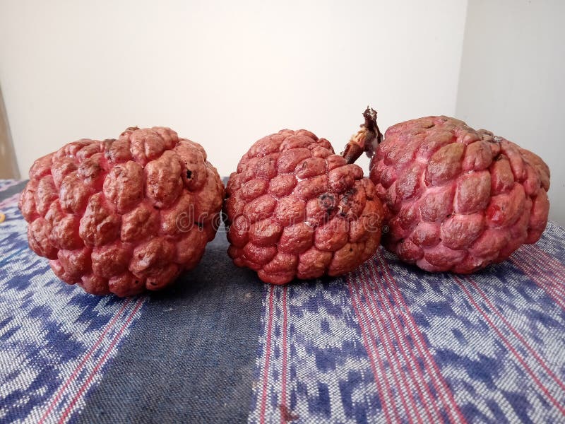 Photo of Some Srikaya Fruit Stock Photo - Image of fruit, meal: 242277084