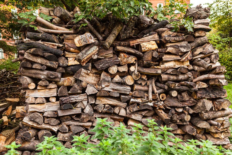 View of a Stack of Birch Wood for Fireplace. Background Photo Stock ...