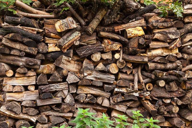 View of a Stack of Birch Wood for Fireplace. Background Photo Stock ...