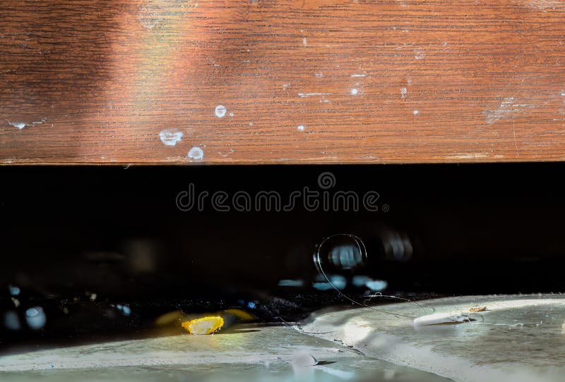 Photo-stack Macro of Dirt and Dust Under a Kitchen Cabinet on Tile ...