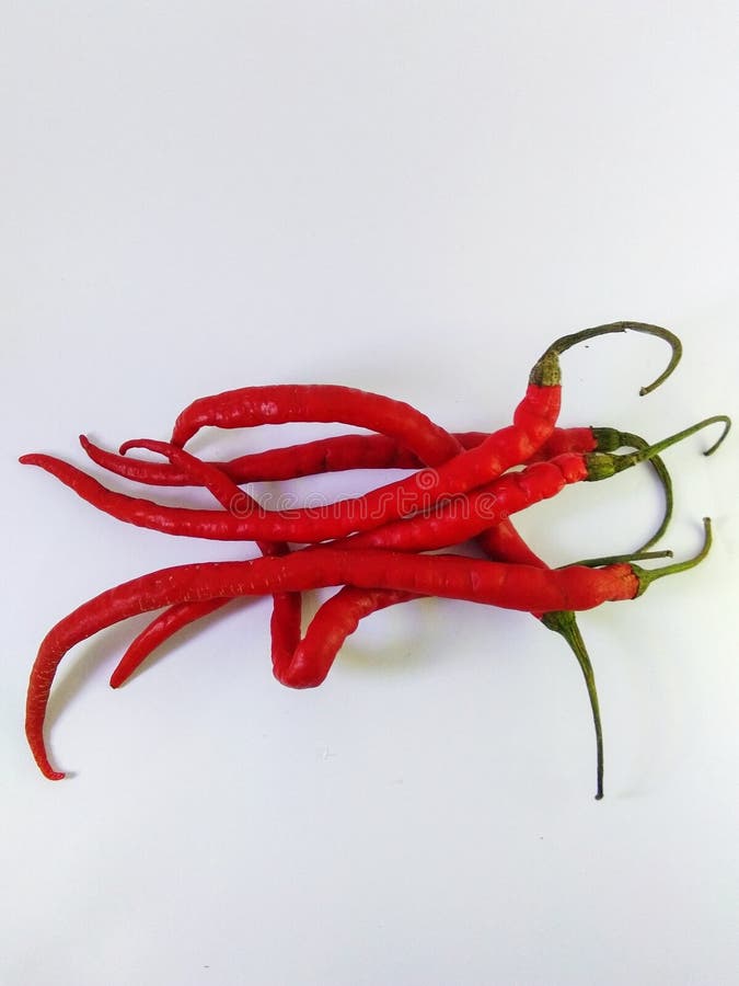 Photo Studio of Red Chilli with Long Shape Stock Image - Image of long ...