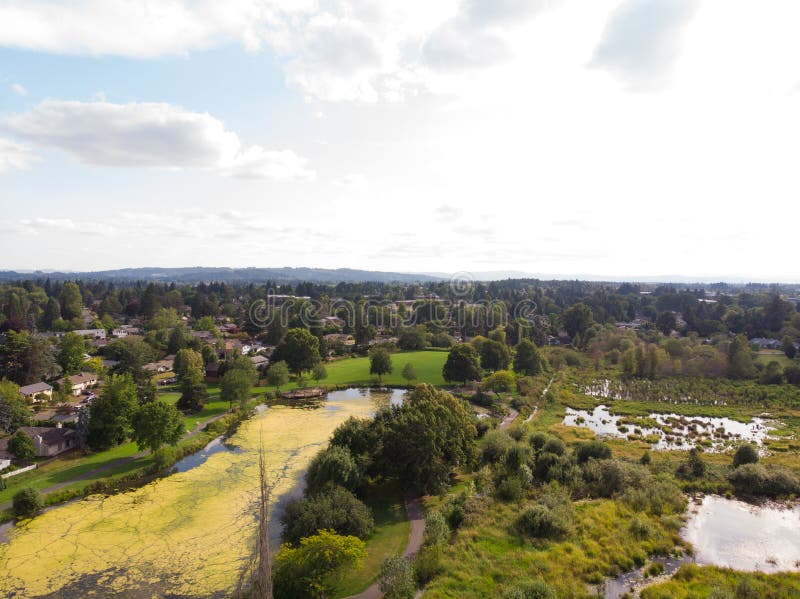 Photo of the Suburb from a Height, Drone, Landscape Background Stock ...