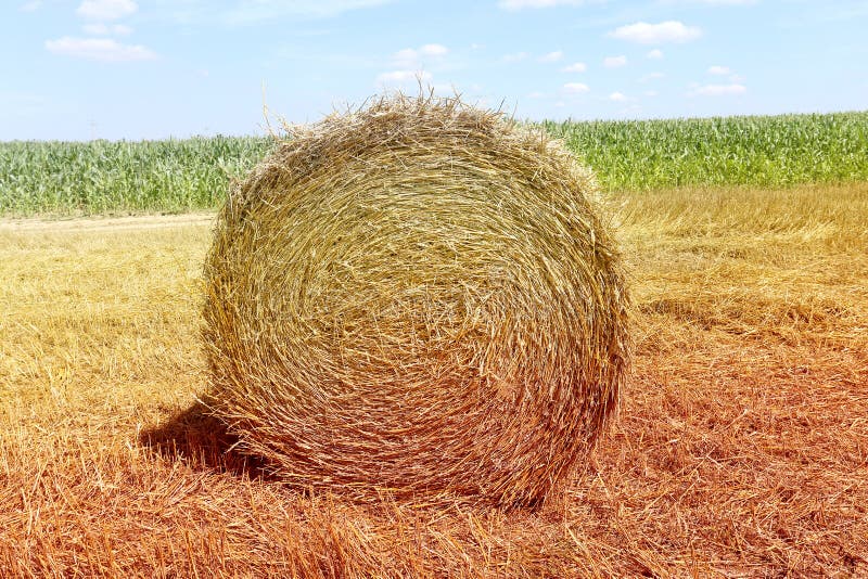 Photo summer haystacks stock image. Image of north, scene - 75650813
