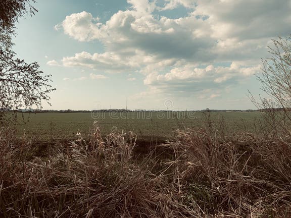 Sunny field stock photo. Image of sunny, empty, landscape - 145670408