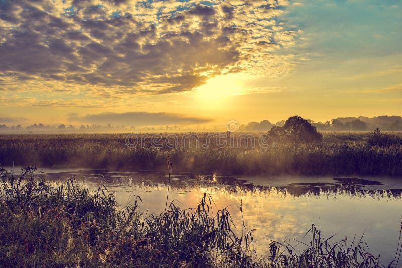 Photo with a Sunny Summer Sunrise Over the River Stock Photo - Image of ...
