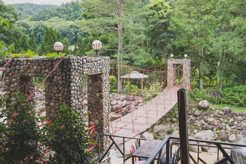 Photo of a Suspension Bridge Built in Harmony with Natural Stock Photo ...