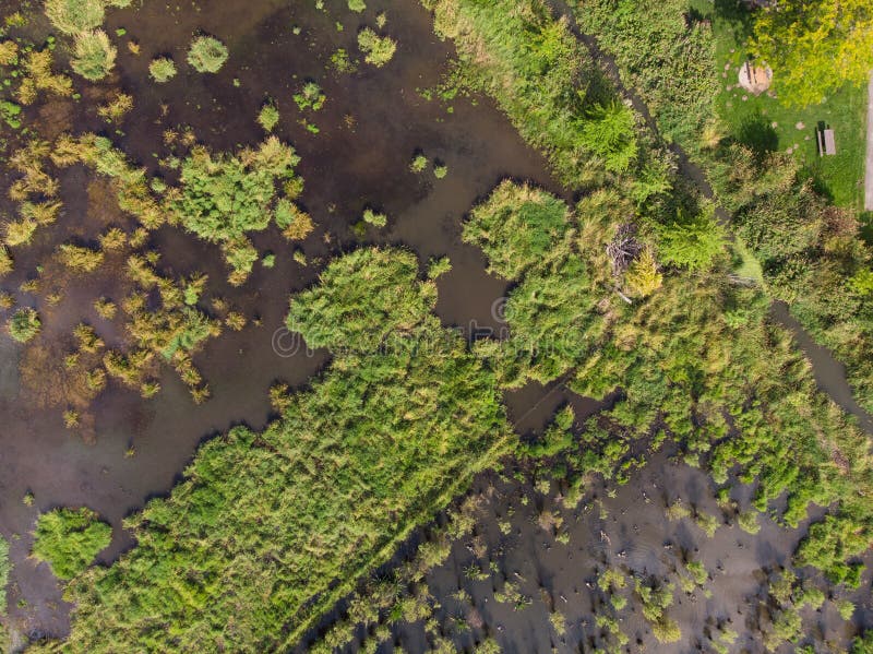 4,160 Trees Top View Landscape Design Stock Photos - Free & Royalty ...