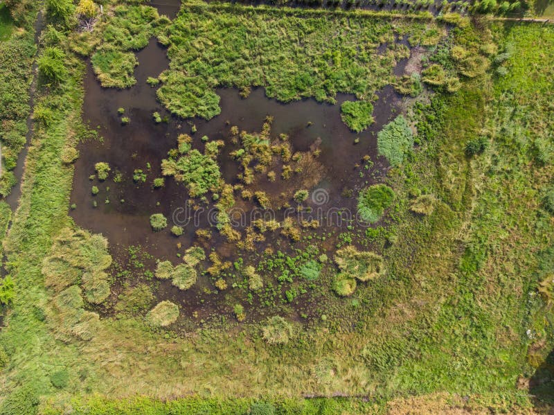 Photo of Swamp and Landscape Top View, Texture for Design Stock Image ...