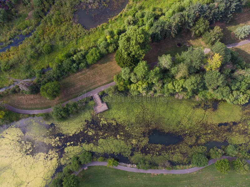 Photo of Swamp and Landscape Top View, Texture for Design Stock Photo ...