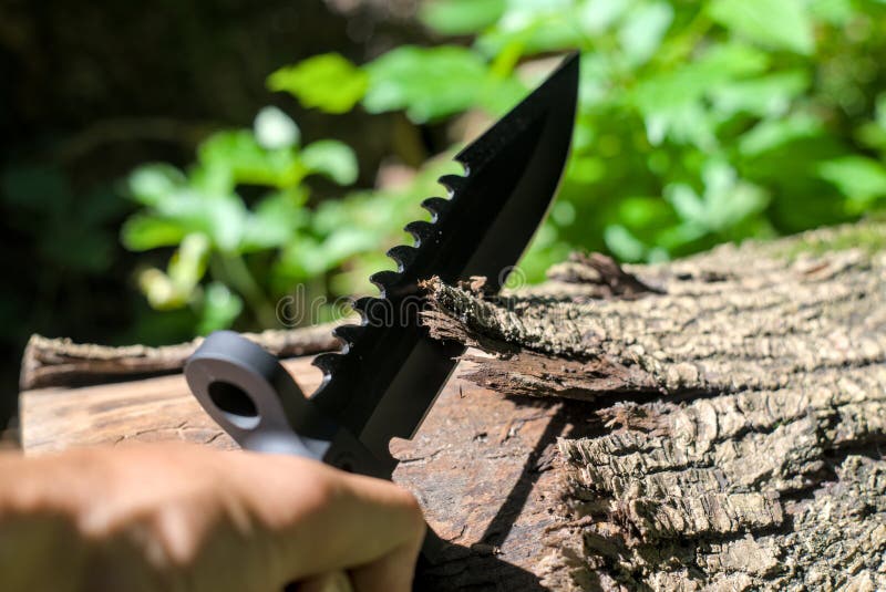 Photo of Tactical Knife Cuts Tree Bark Stock Image - Image of ...