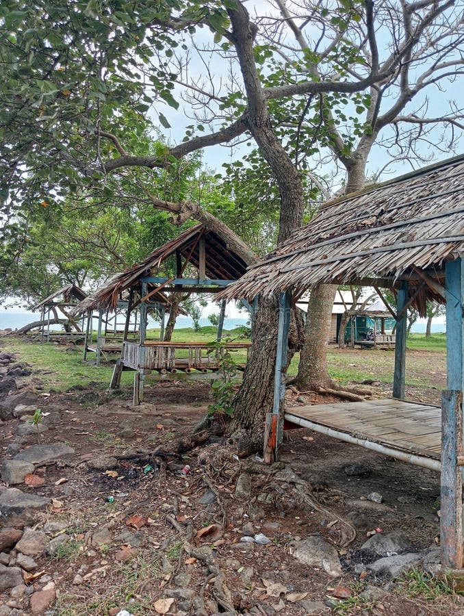 Green Trees and Small Huts on the Beach Stock Image - Image of trees ...