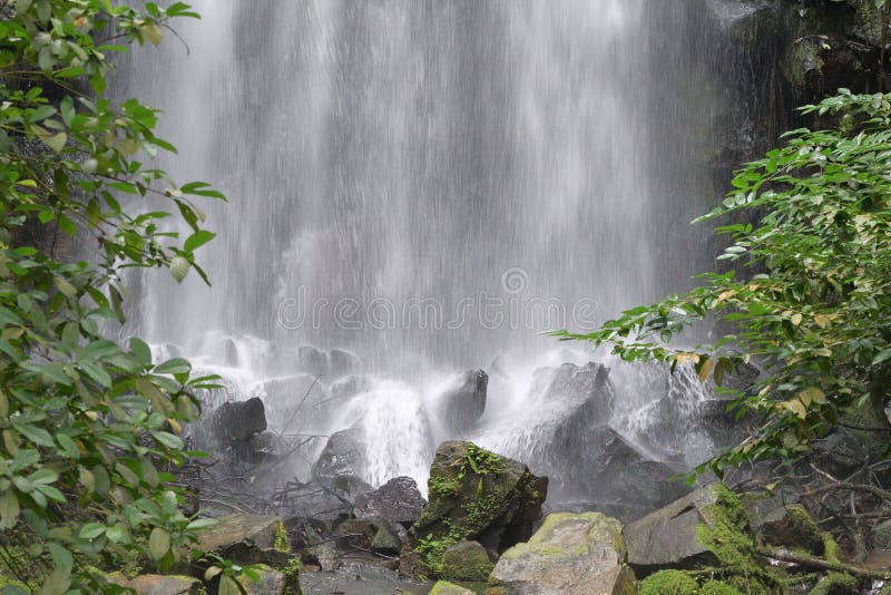 A Waterfall with Smooth Silky Falling Water in a Dense Forest Stock ...