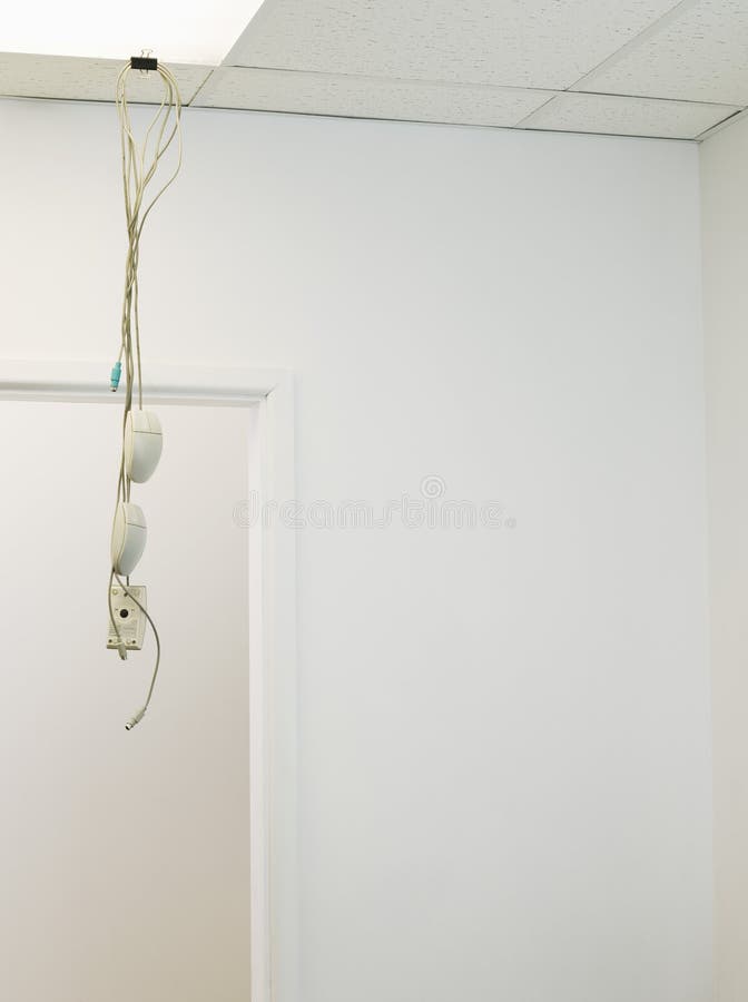 Tangled Hanging from Office Ceiling Stock Image - Image of corona ...