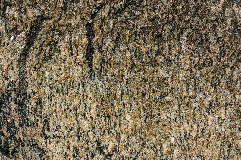 Photo Texture of a Huge Stone, Boulder in the Park 8 Stock Image ...