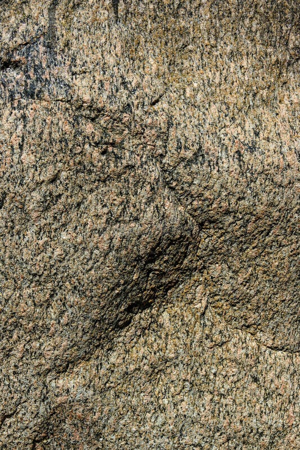 Photo Texture of a Huge Stone, Boulder in the Park 7 Stock Image ...