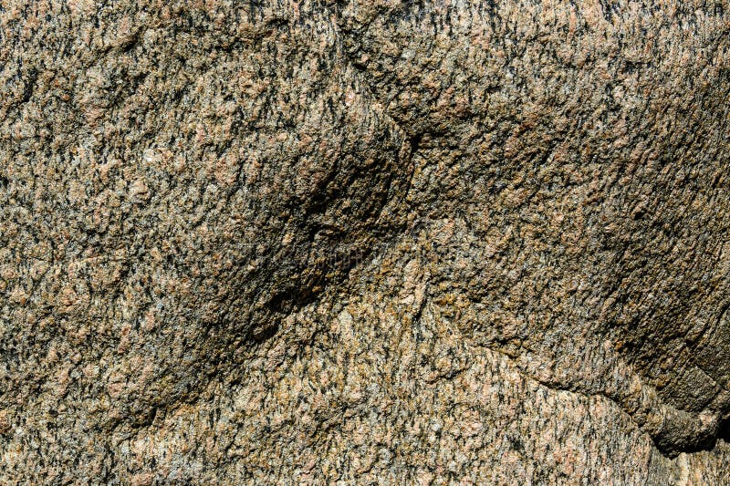 Photo Texture of a Huge Stone, Boulder in the Park 6 Stock Image ...