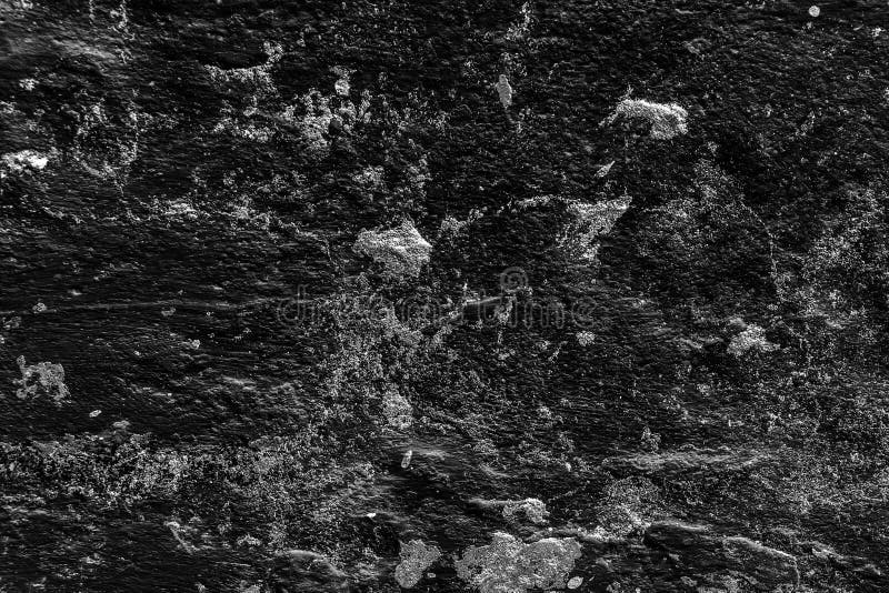 480 Bnw Texture Stock Photos - Free & Royalty-Free Stock Photos from ...