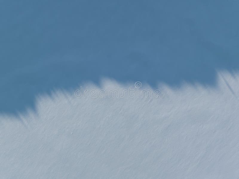 Photo Texture, Winter Scene, Shadow from Trees on a Snowy Field Stock ...