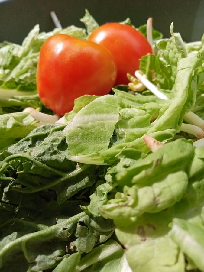 A Photo of Tomato on a Vegetable Taken Using a Mobile Phone Stock Photo ...