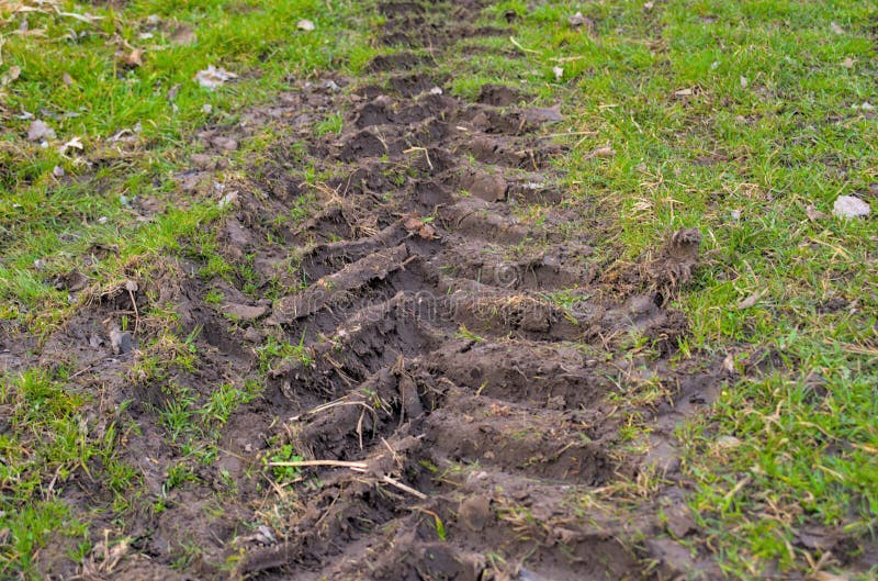 Photo of Tractor Wheel Track on Ground Stock Image - Image of black ...