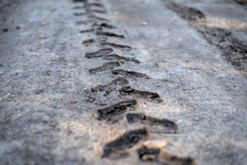 Photo of Tractor Wheel Tracks on Soil Stock Photo - Image of shore ...