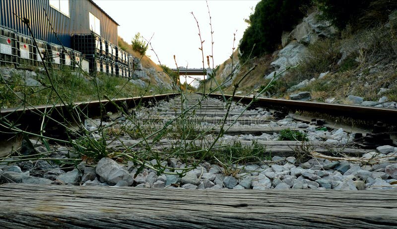 Trails stock photo. Image of road, trails, train, trail - 104438752