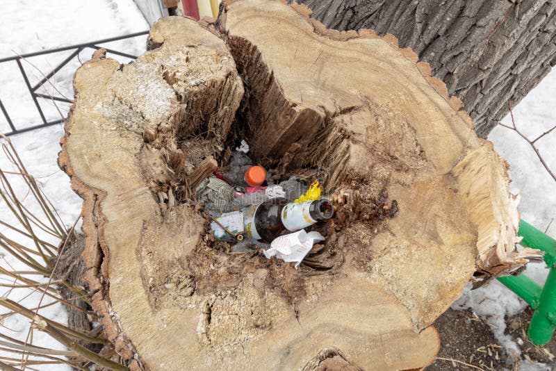 In the Photo a Tree with a Stump in it Garbage and Environmental ...