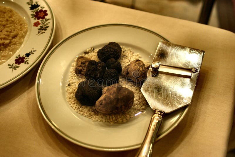 Photo Of Truffles On The Plate Picture. Image: 109920238