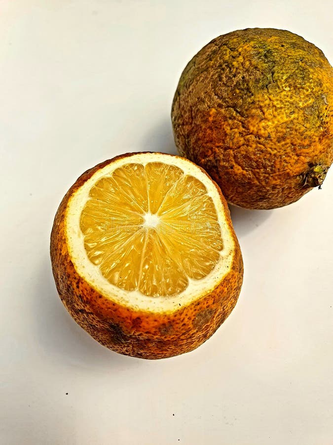 Photo of Two Ripe and almost Rotten Lemons Stock Photo - Image of ...