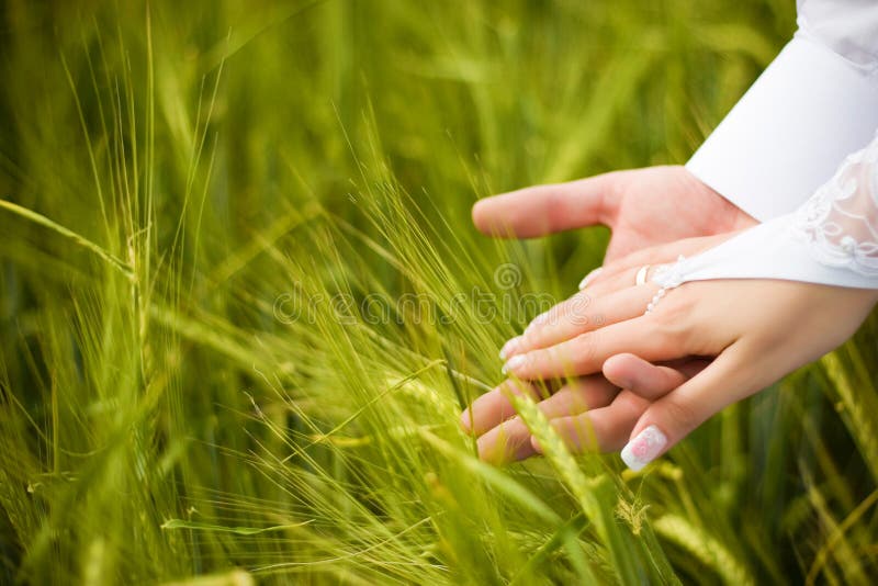 Hands of lovers on grass stock image. Image of romantic - 14479671