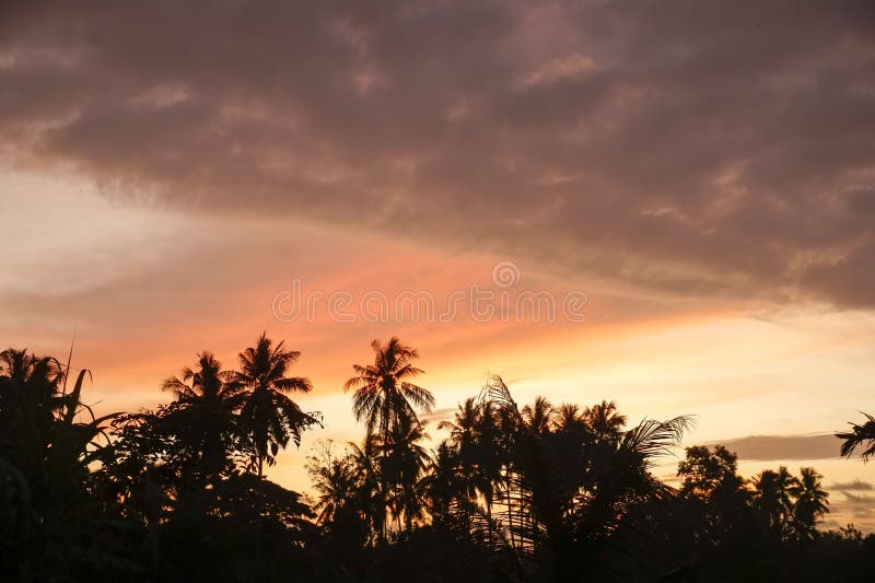Photo of the Unique Atmosphere of the Sky at Dusk Stock Photo - Image ...