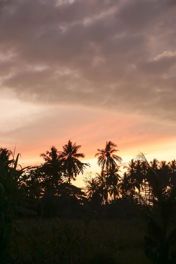 Photo of the Unique Atmosphere of the Sky at Dusk Stock Photo - Image ...