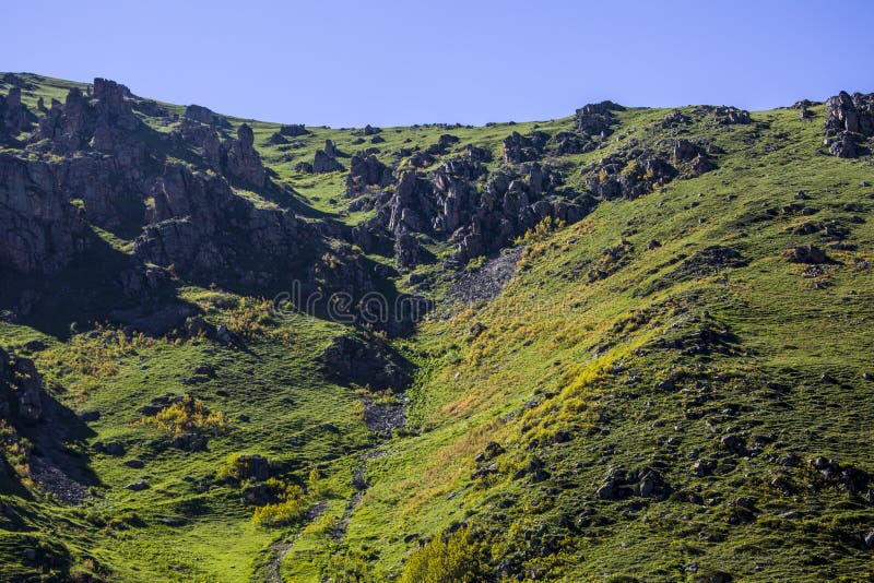 Photo of the Unique Combination of Trees and Mountains Under the Blue ...